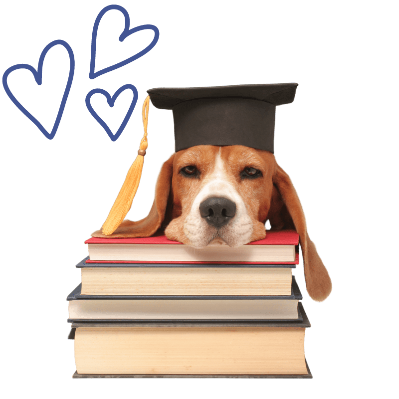 Petcare Basics 101 501 C 3