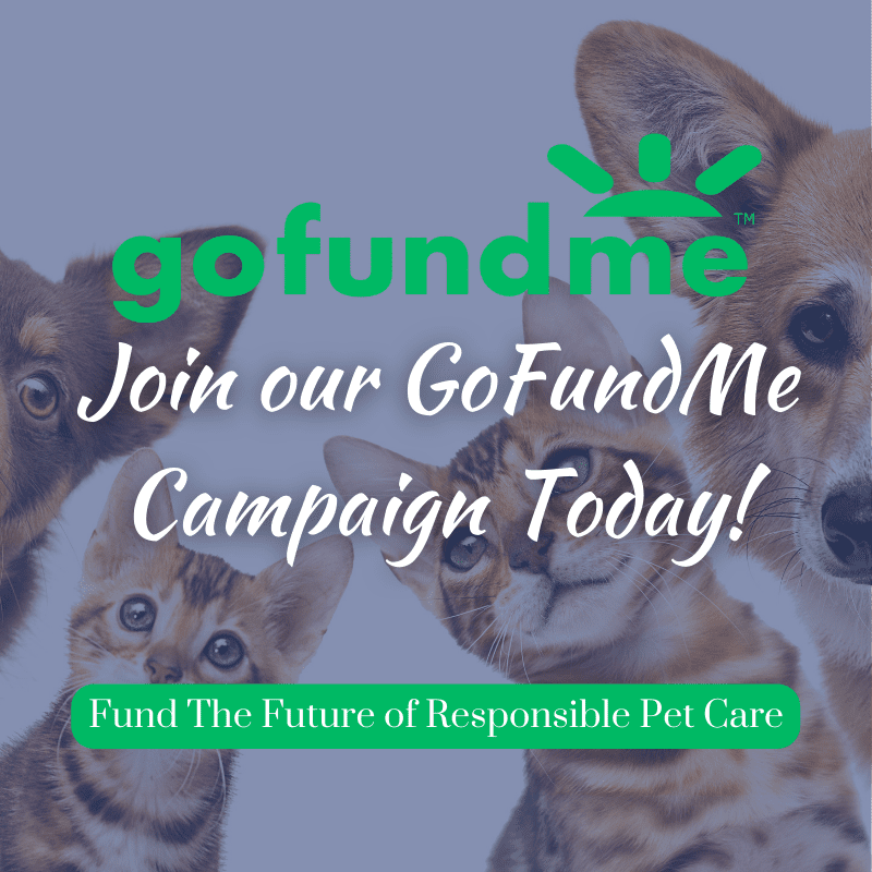 Fund The Future of Responsible Pet Care - Petcare Basics 101 | 501 (c) (3)